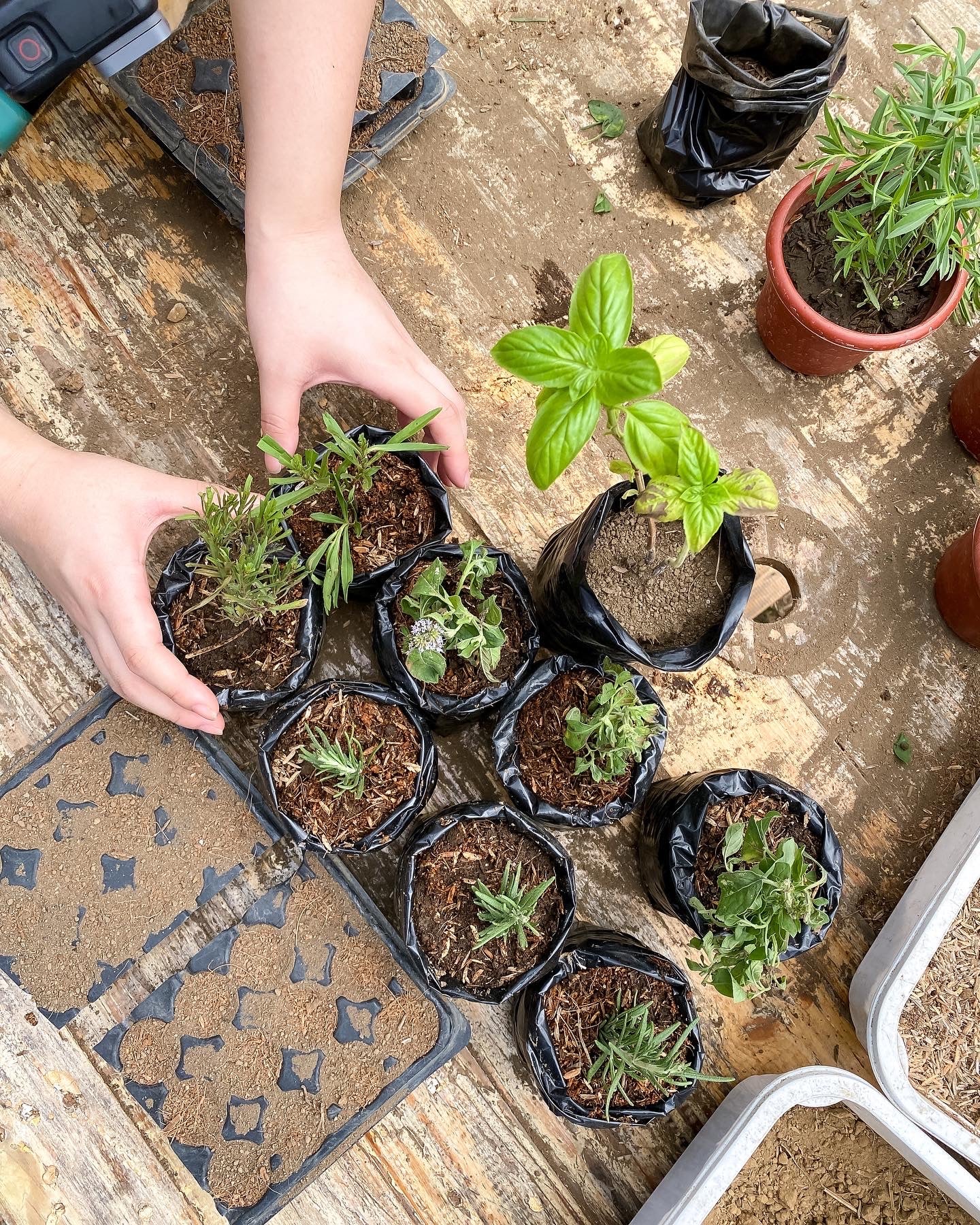 10 Small Steps for Slow, Sustainable Living – Styleshops